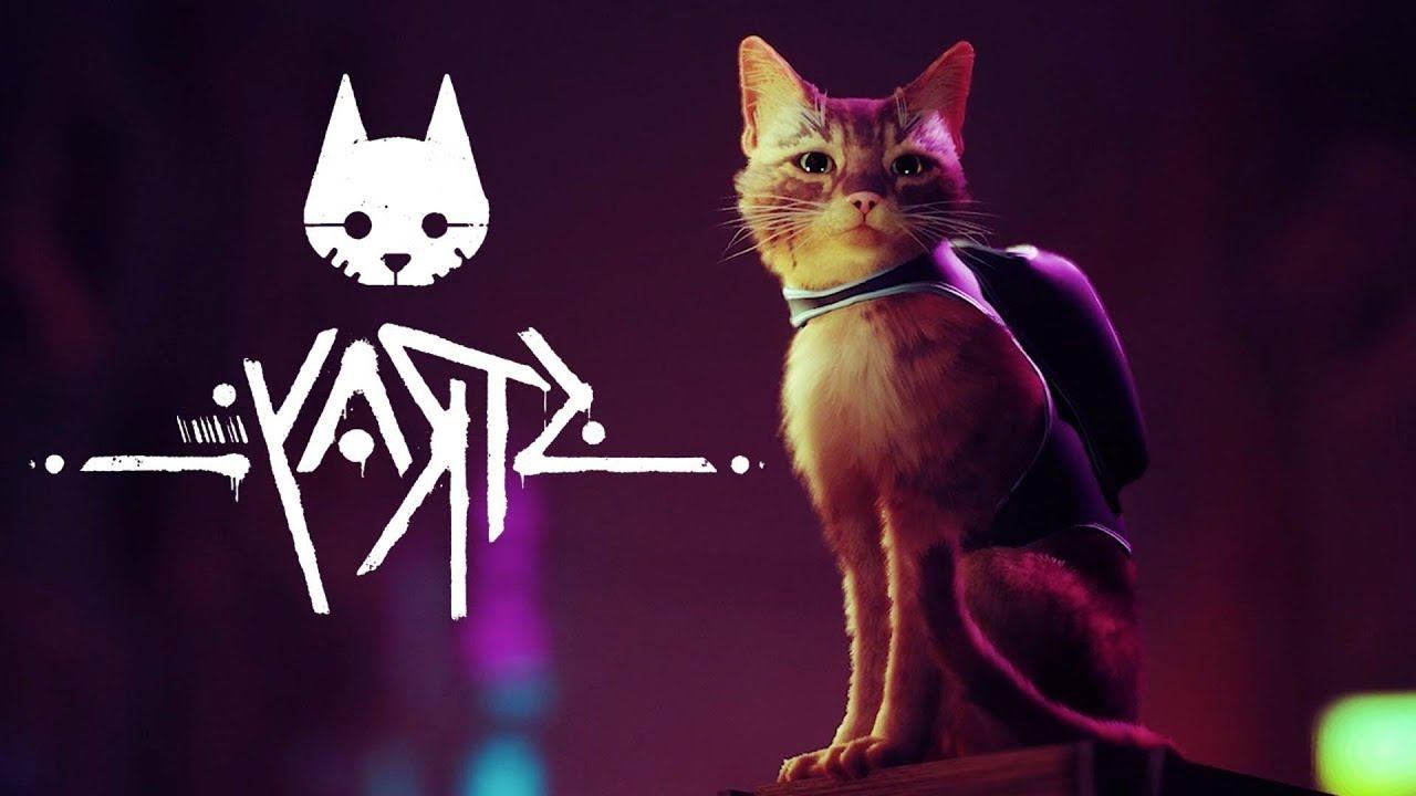 ЗНАКОМСТВА С МОМО⚝STRAY #2