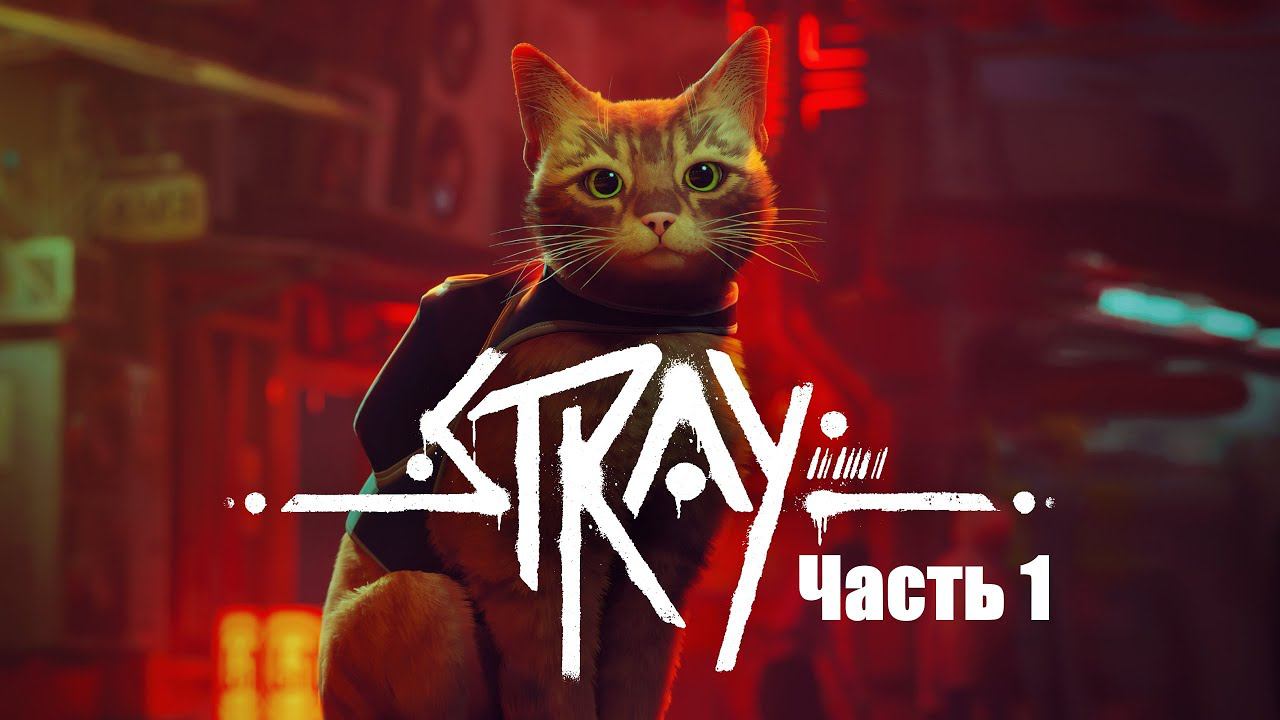 Прохождение Stray.  Часть 1. Запись стрима.
