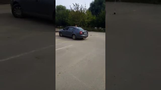 Занятие по вождению в автошколе «Колесо» №11