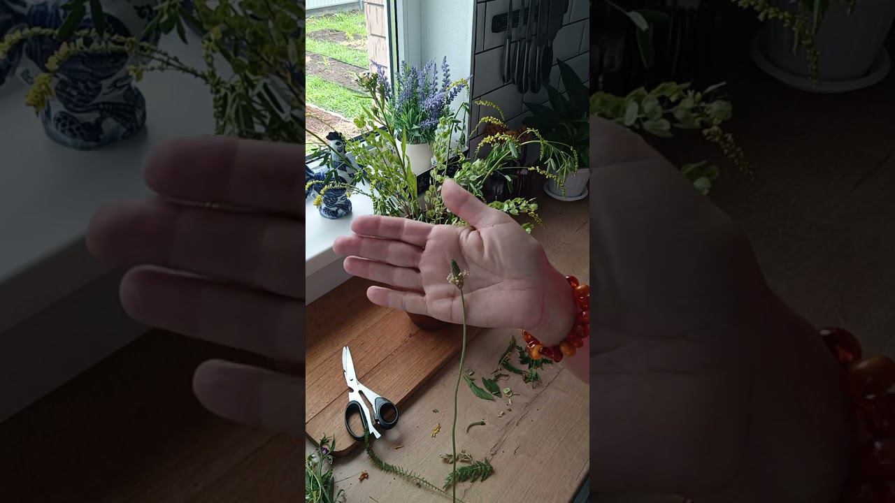 СОБРАЛА БУДЕТ ИЗ ПОЛЕВЫХ ЦВЕТОВ!