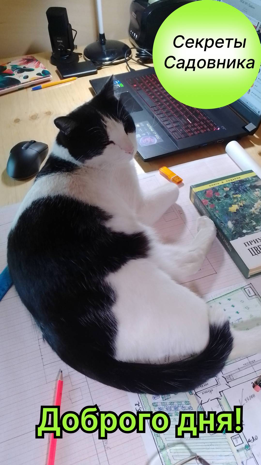 Доброго дня!