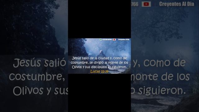 Tu Refugio | Lucas 22:39 | Una Bendición para cada Día