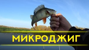 Осенний жор окуня на Ультралайт - микроджиг