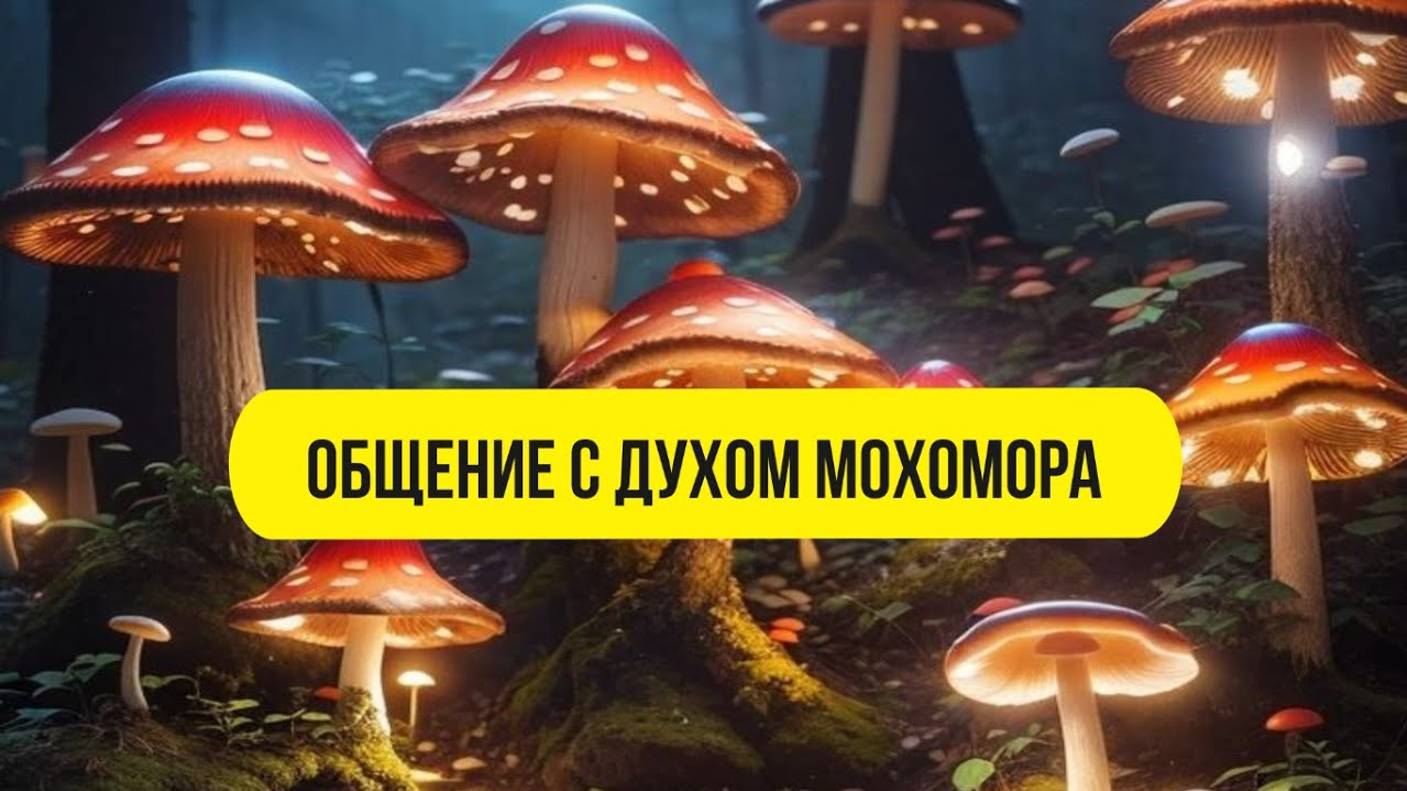 ОБЩЕНИЕ С ДУХОМ МУХОМОРА