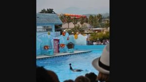 Marine Land - Antibes - Cote D'Azure
