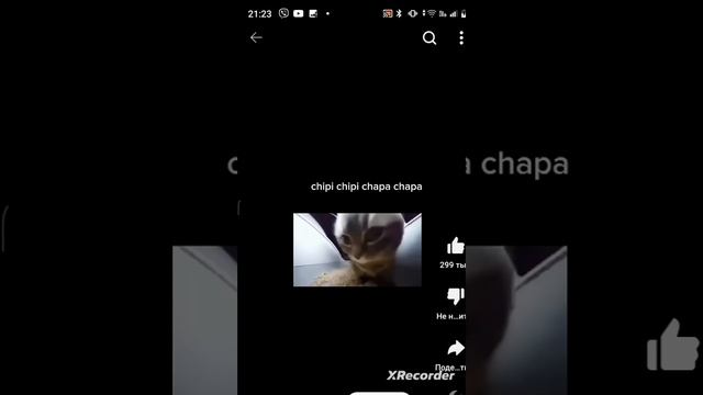 2 чипи