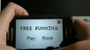 Обзор игры Free Running.