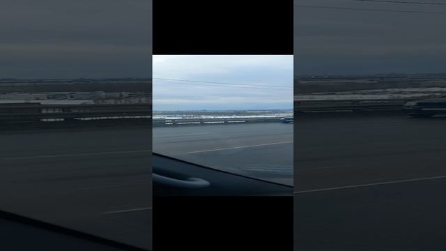 Дорога домой