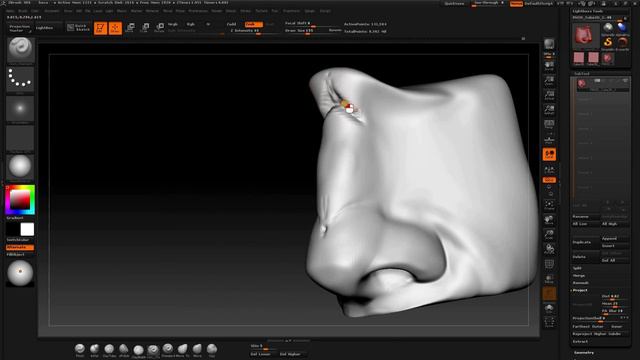 Anat-Vol 02-07  Nose_Part_2-2