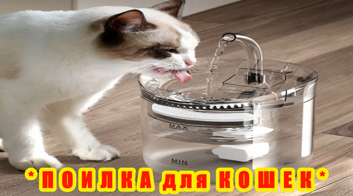 вашим ПИТОМЦАМ