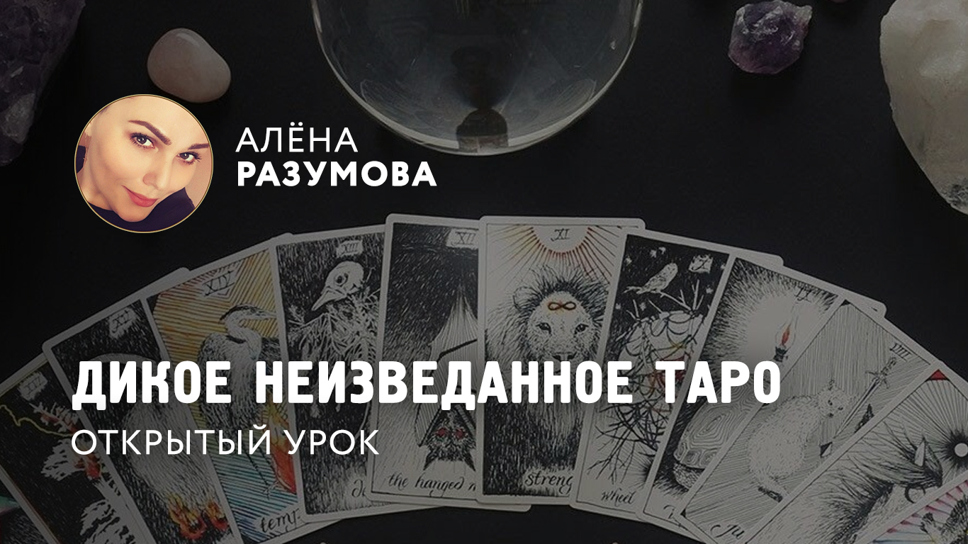 Открытый урок курса "Дикое Неизведанное Таро" (The Wild Unknown Tarot). Алёна Разумова, Врата Миров