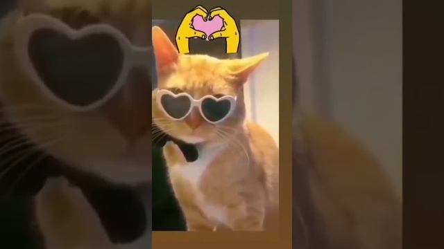 Любовь