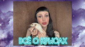 ?ВСЁ О КРЫСАХ?