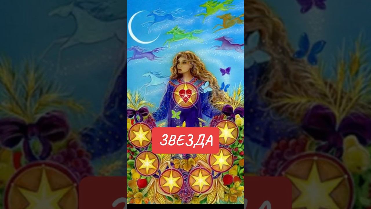 ЗВЕЗДА