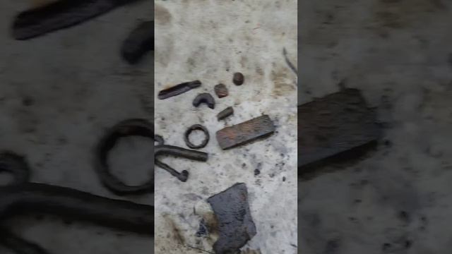 вот какой улов на поисковый магнит