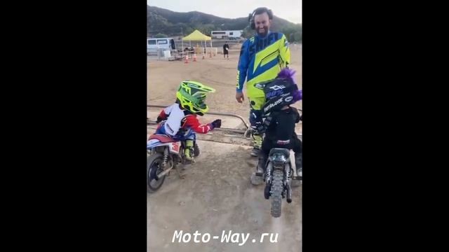 Moto-вежливость - наше все!