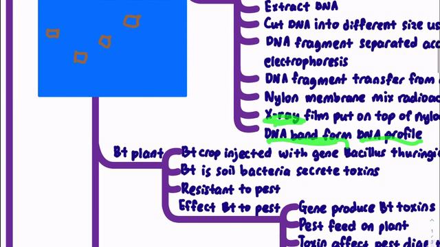 BIOLOGY KSSM F5- Chapter 13 Genetic Technology - смотреть видео онлайн ...