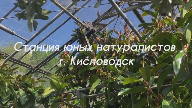 Станция юных натуралистов г. Кисловодск