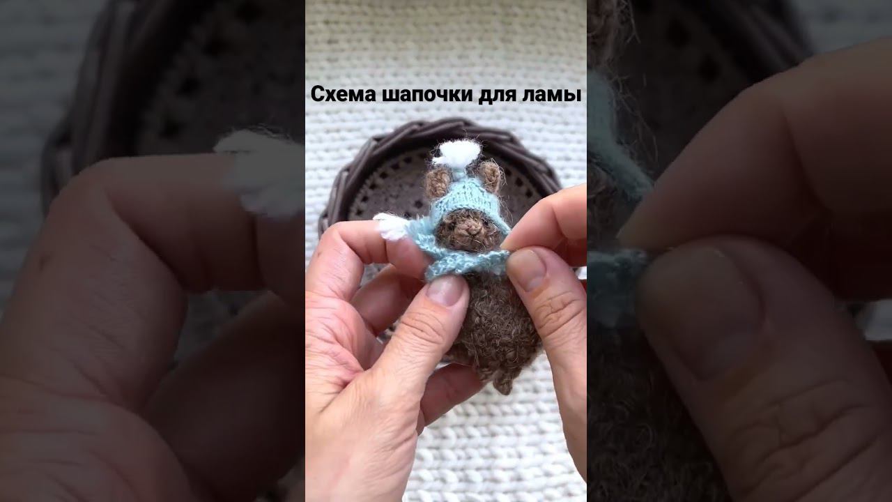 Схема шапочки для мини ламы.