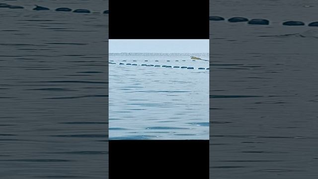 Красное море, Египет , Шарм , Шарм эль ШЕйх