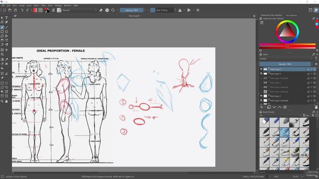 7. Muscle Principles