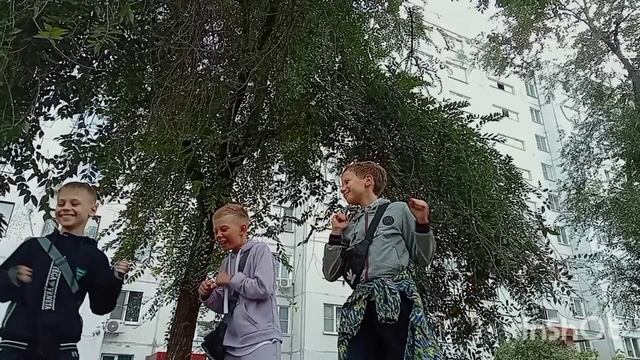 Мои друзья