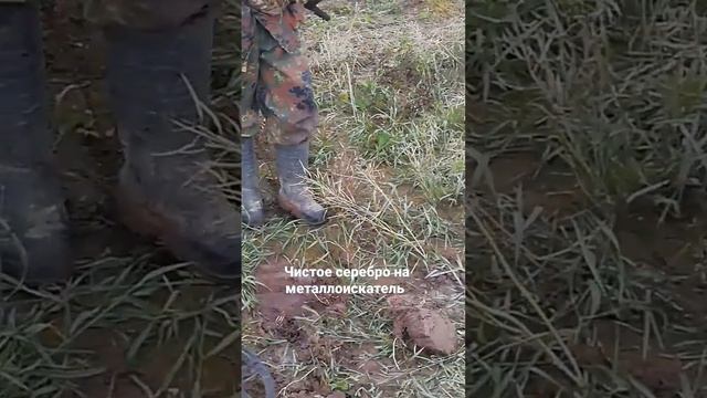 Серебряная чешуйка на металлоискатель