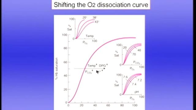 3_Blood Gas Transport