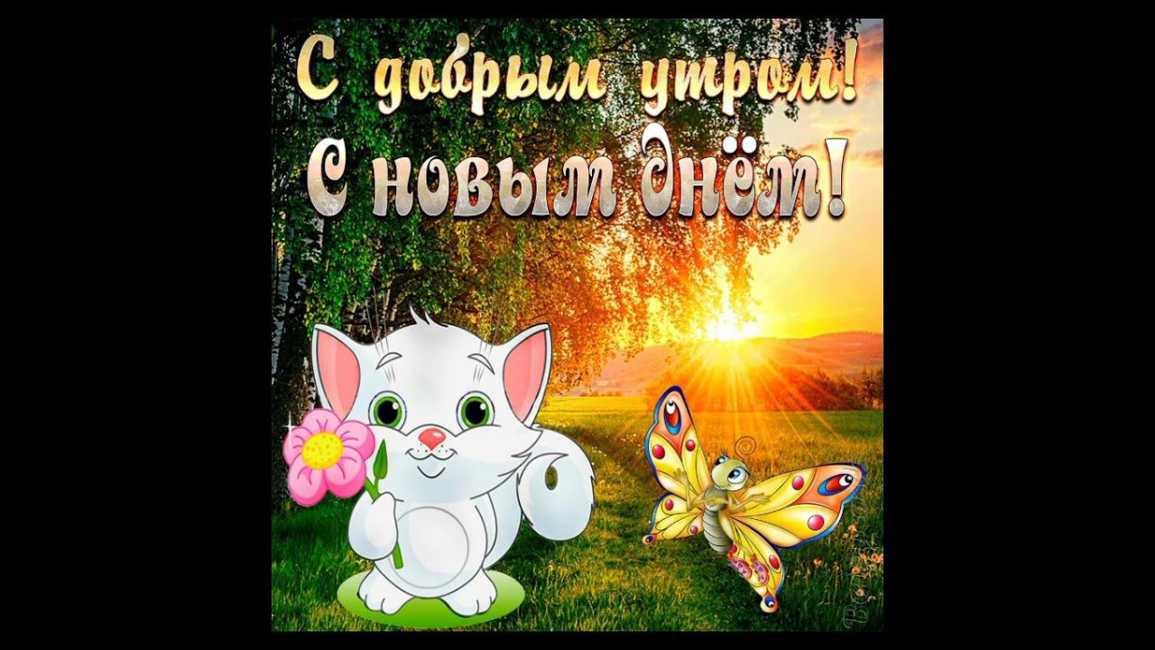 доброе утро