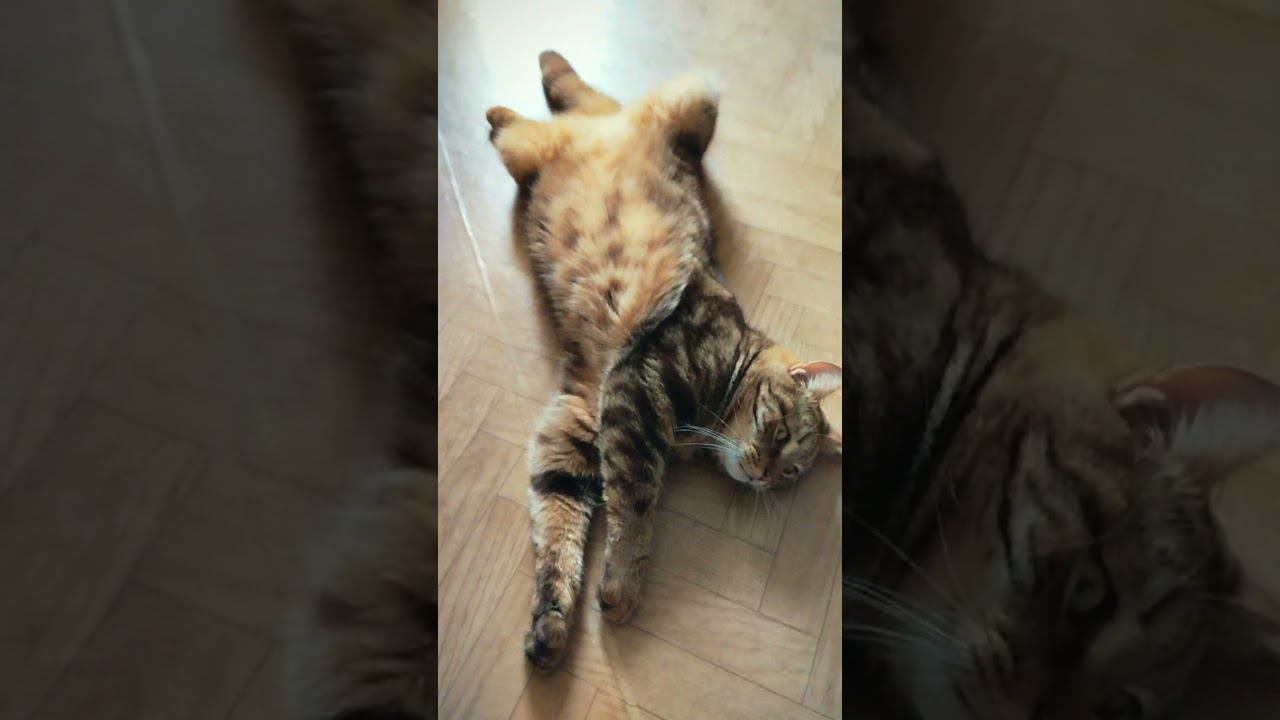 Степан на раслабоне)