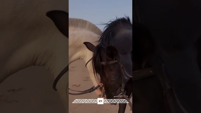 Алғаннан соң қатынды өкінбей өт