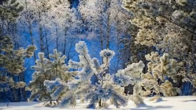 Под белою шапкой снегов, сл. В. Шентала, муз. А. Габиец, исп. Ю. Оленич