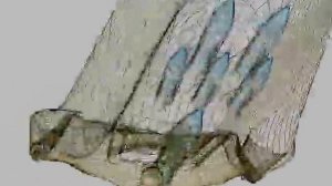Computer graphics using 3D Studio MAX -Wireframe