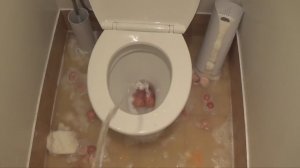 Как люди ходят в общественный туалет