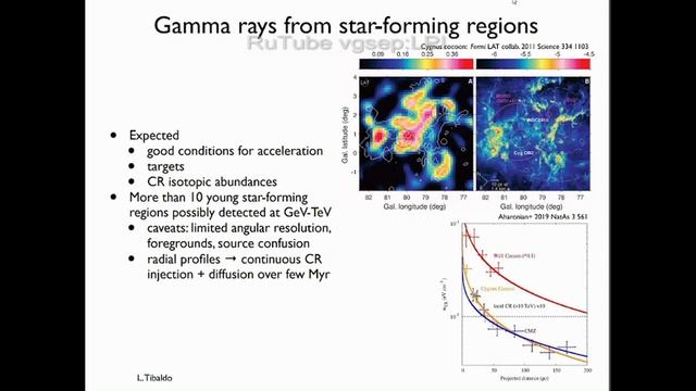 Gamma-ray astronomy: coming of age and revolutions