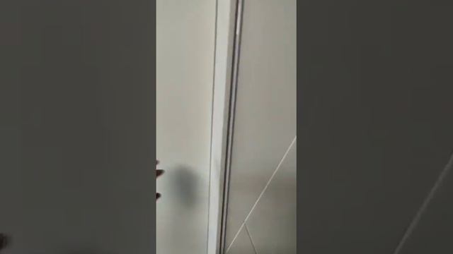 Проект (2)