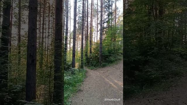 МОЯ РОДНАЯ ВЯТСКАЯ ЗЕМЛЯ.