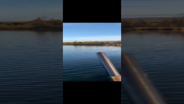 Вечерка с Саней