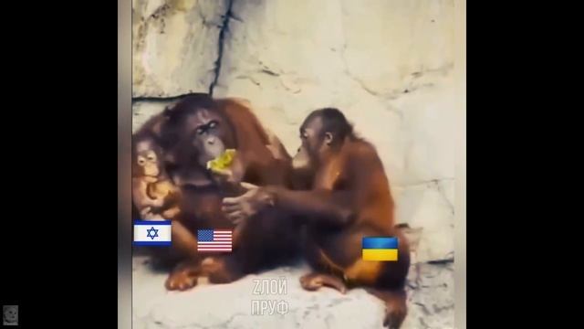 Минутка юмора