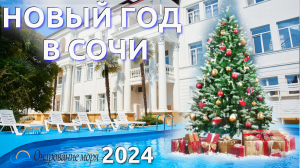 Новый год в Сочи. Где отметить Новый год. Новогодние праздники.Сочи сегодня. Хоста сегодня.