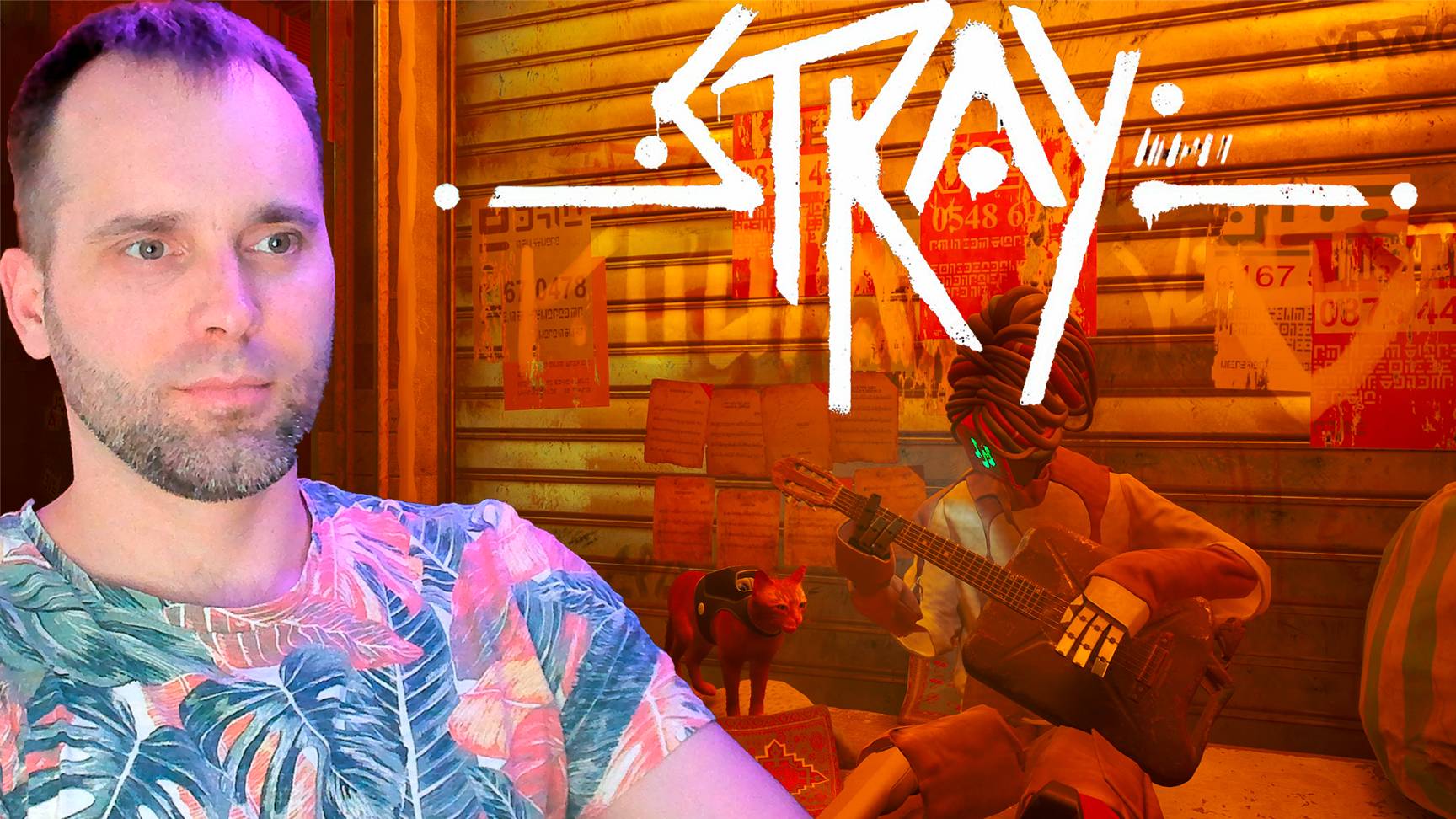 КОТ МУЗЫКАНТ ЧУДИТ НА ГИТАРЕ ► STRAY #4