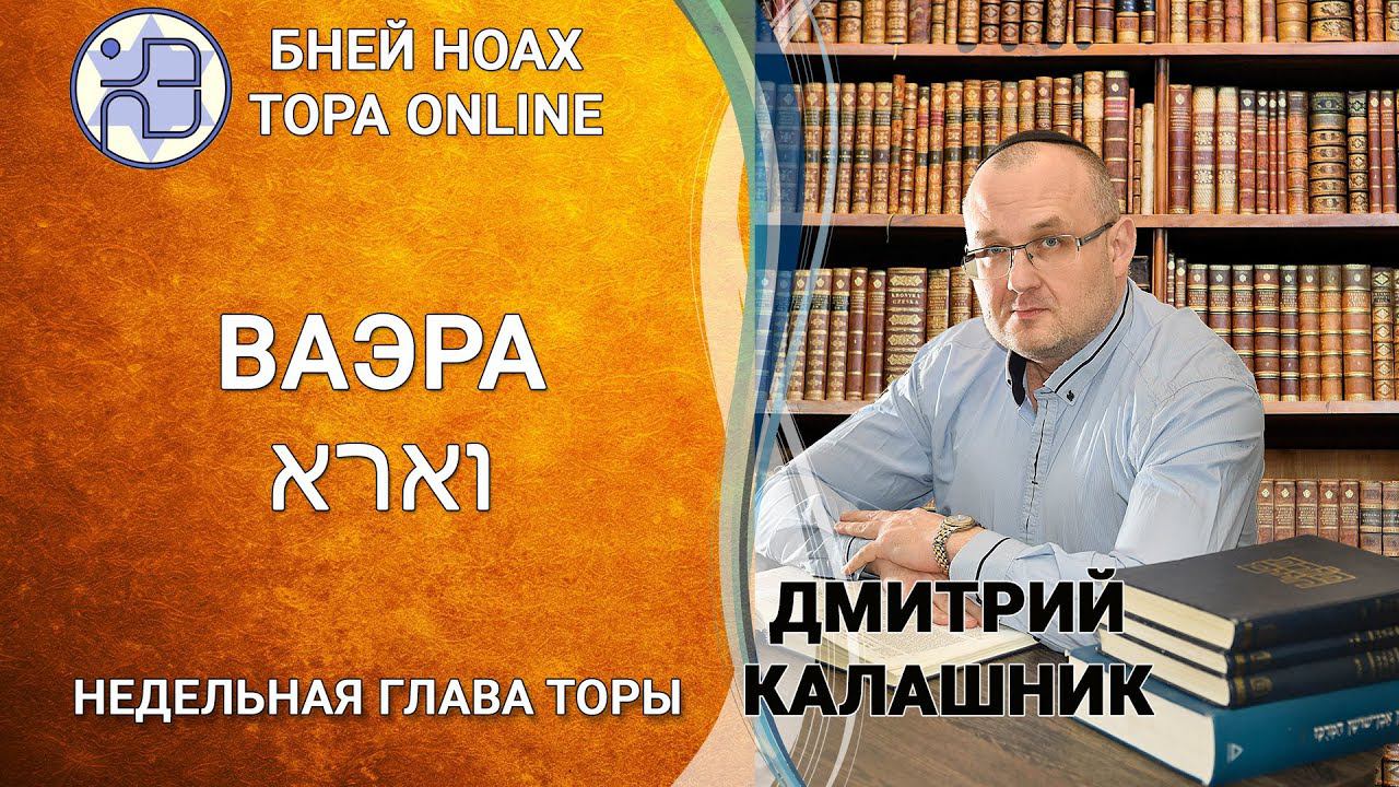 Недельная глава ВАЭРА || Дмитрий Калашник || 5782
