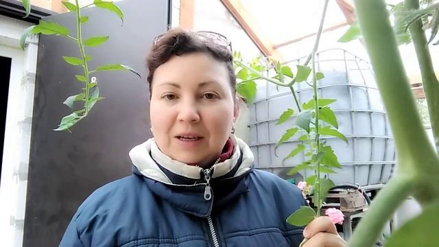 15 сентября 2022г. СОСЕДИ ОДУМАЛИСЬ но дружить не будем