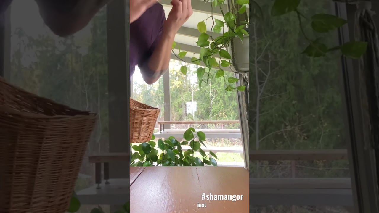 #vargan #trance #meditation  #shaman #варган #медитация #trancemusic