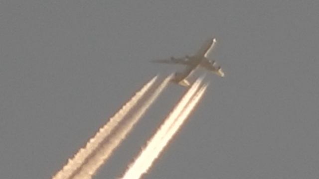 DSCN3565