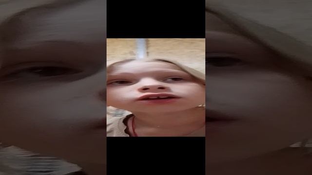 моя любимая песня