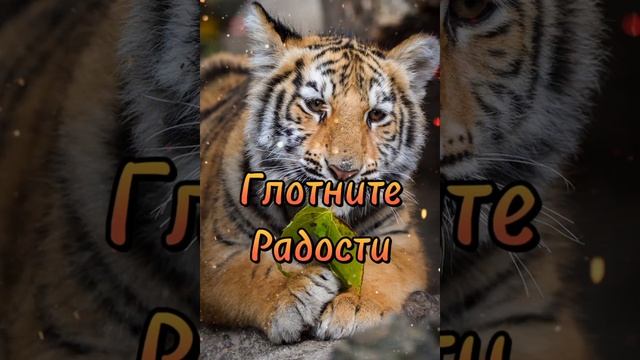 В этот день