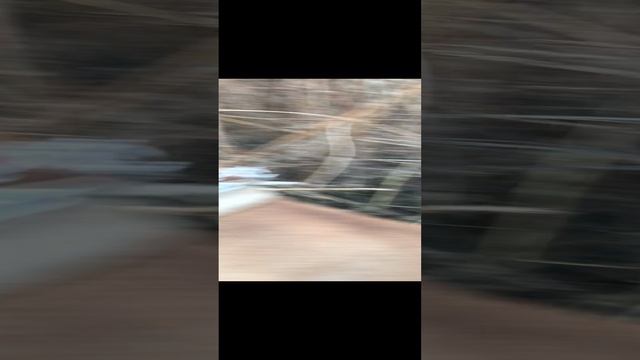Карточка видео