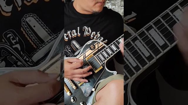Edwards Relic EMG & Randall RG13 #esp #lespaulcustom #emg #relic #randall #stryper