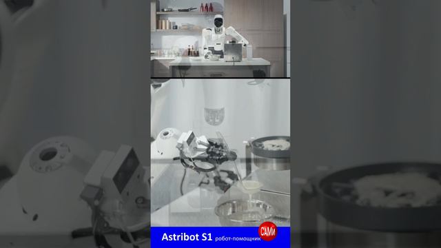 первый робот-помощник S1#shorts #анонс #технология #новости